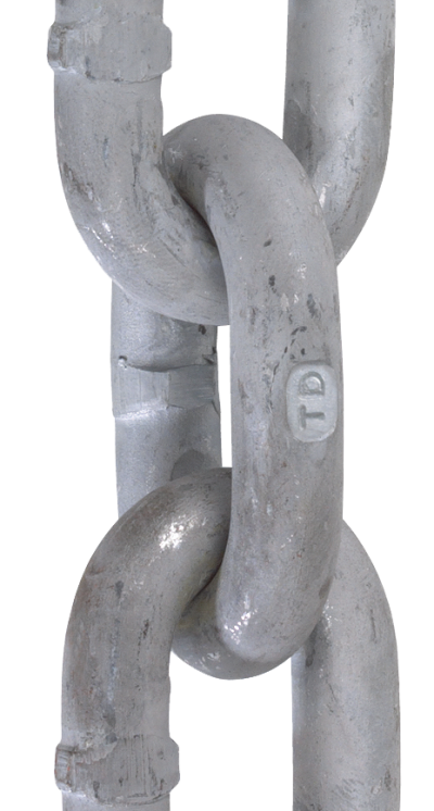 Peerless | A316 Stainless Steel Screw Pin Anchor Shackles